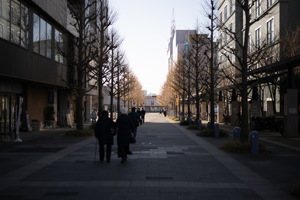 心も晴れる緑道をお散歩して : 思い出の記録